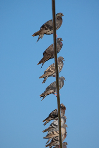 Canon R5 Mirrorless — Focus Stacking or Bracketing – Kathy Adams Clark