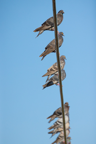 Canon R5 Mirrorless — Focus Stacking or Bracketing – Kathy Adams Clark