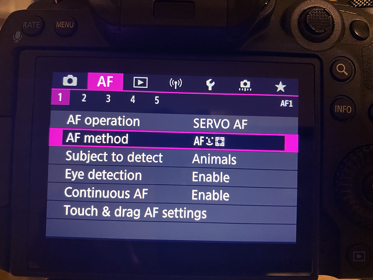 Canon R5 — Autofocus Settings — Face Tracking with Eye Detect – Kathy ...