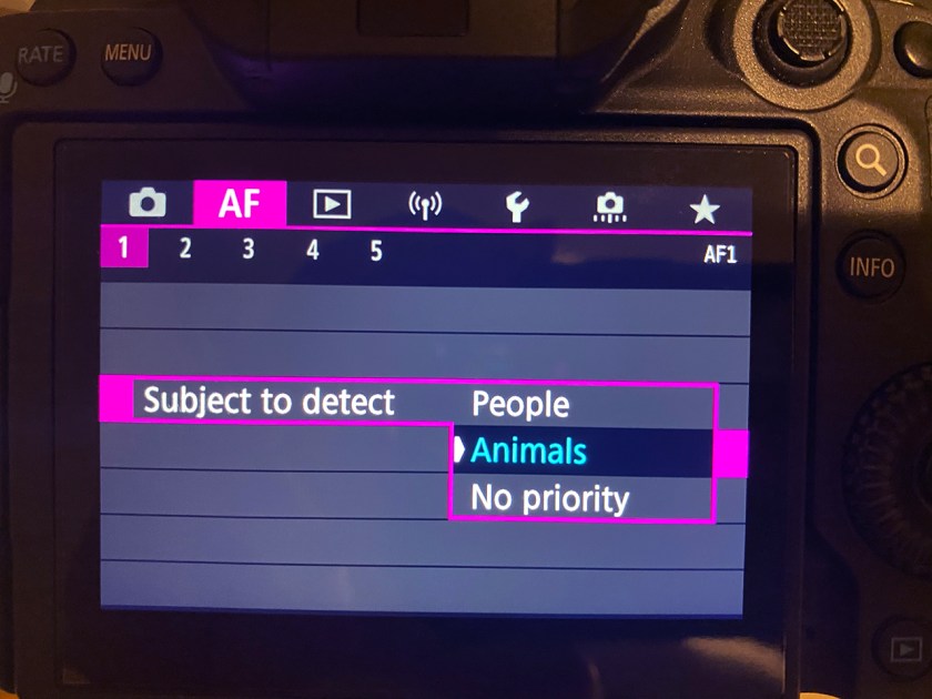 Canon R5 — Autofocus Settings — Face Tracking with Eye Detect – Kathy ...