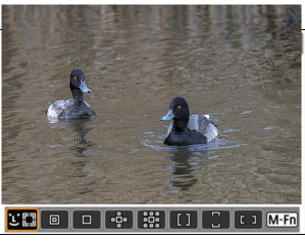 Canon R5 — Autofocus Settings — Face Tracking with Eye Detect – Kathy ...