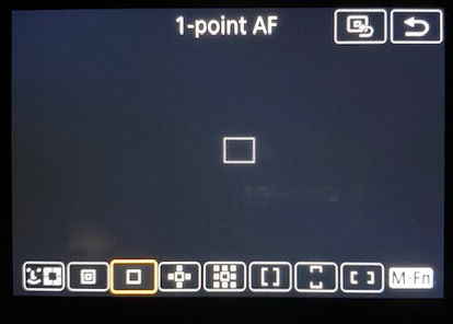 Auto Focus Method Explained – Kathy Adams Clark