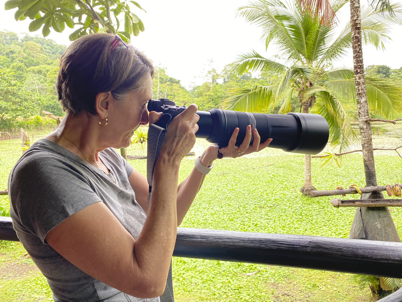 Photographing Birds with Canon RF 800mm f/11 IS STM – Kathy Adams Clark