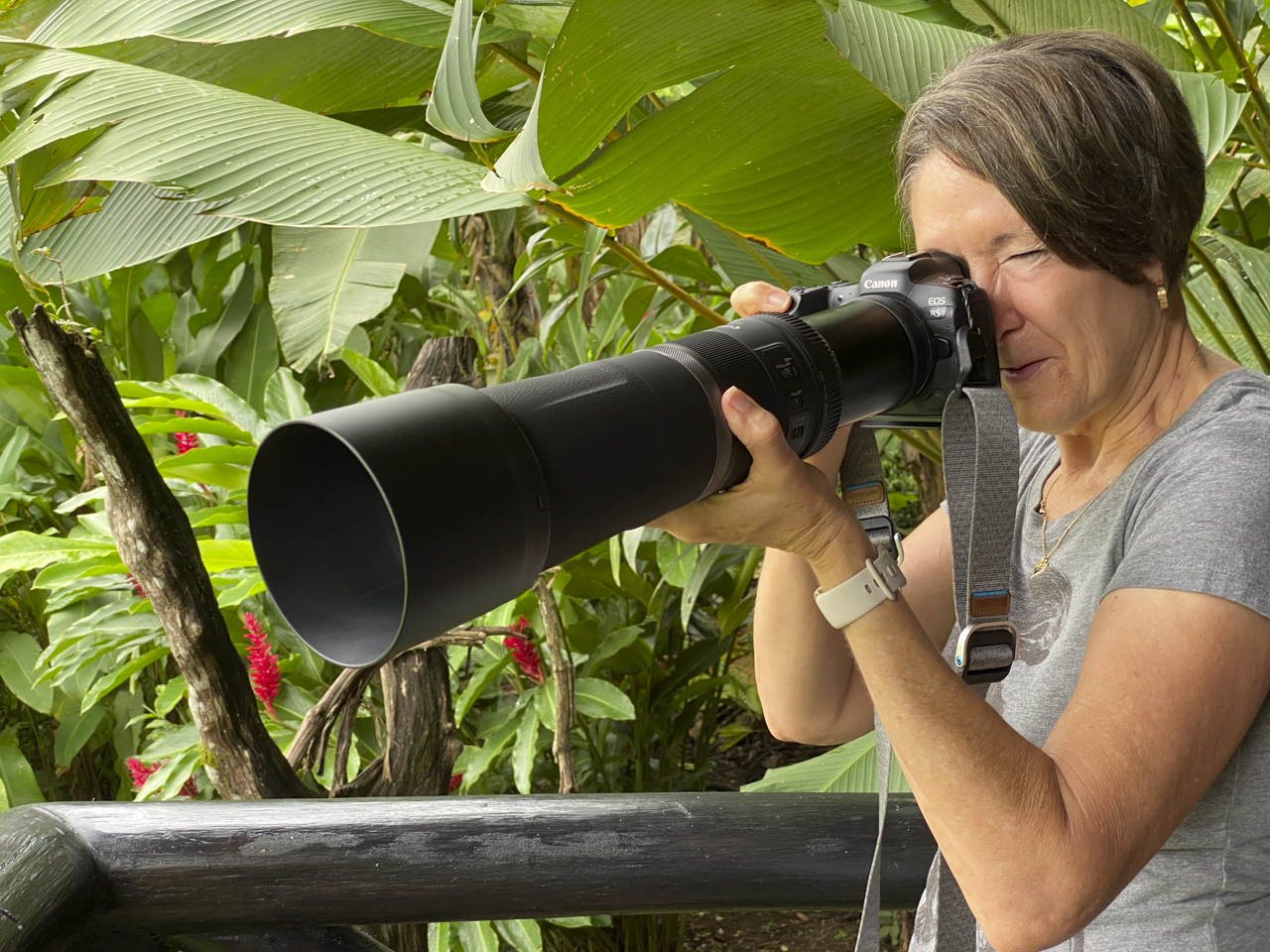 Photographing Birds with Canon RF 800mm f/11 IS STM – Kathy Adams Clark