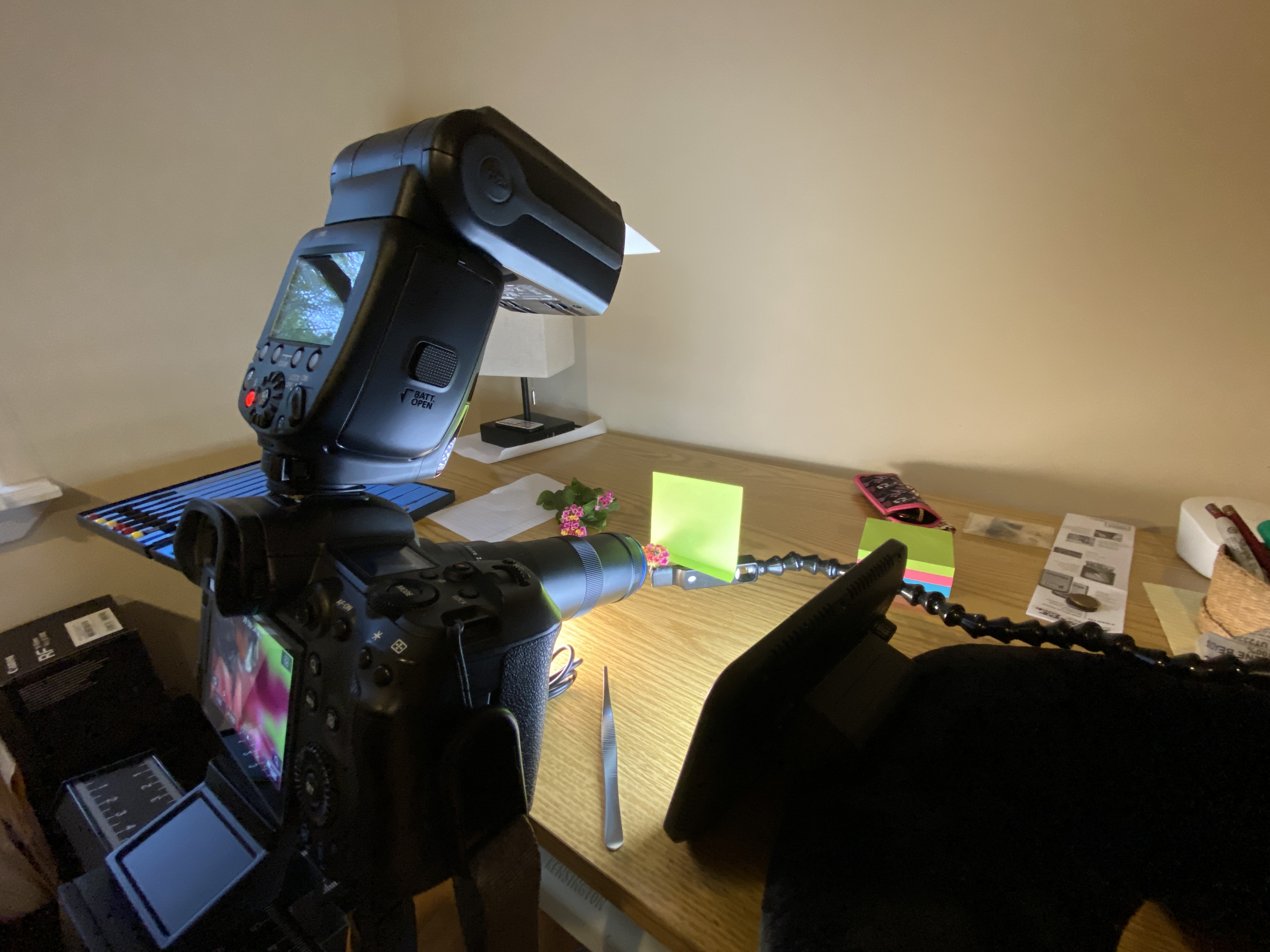 Extreme Macro Photography – Kathy Adams Clark